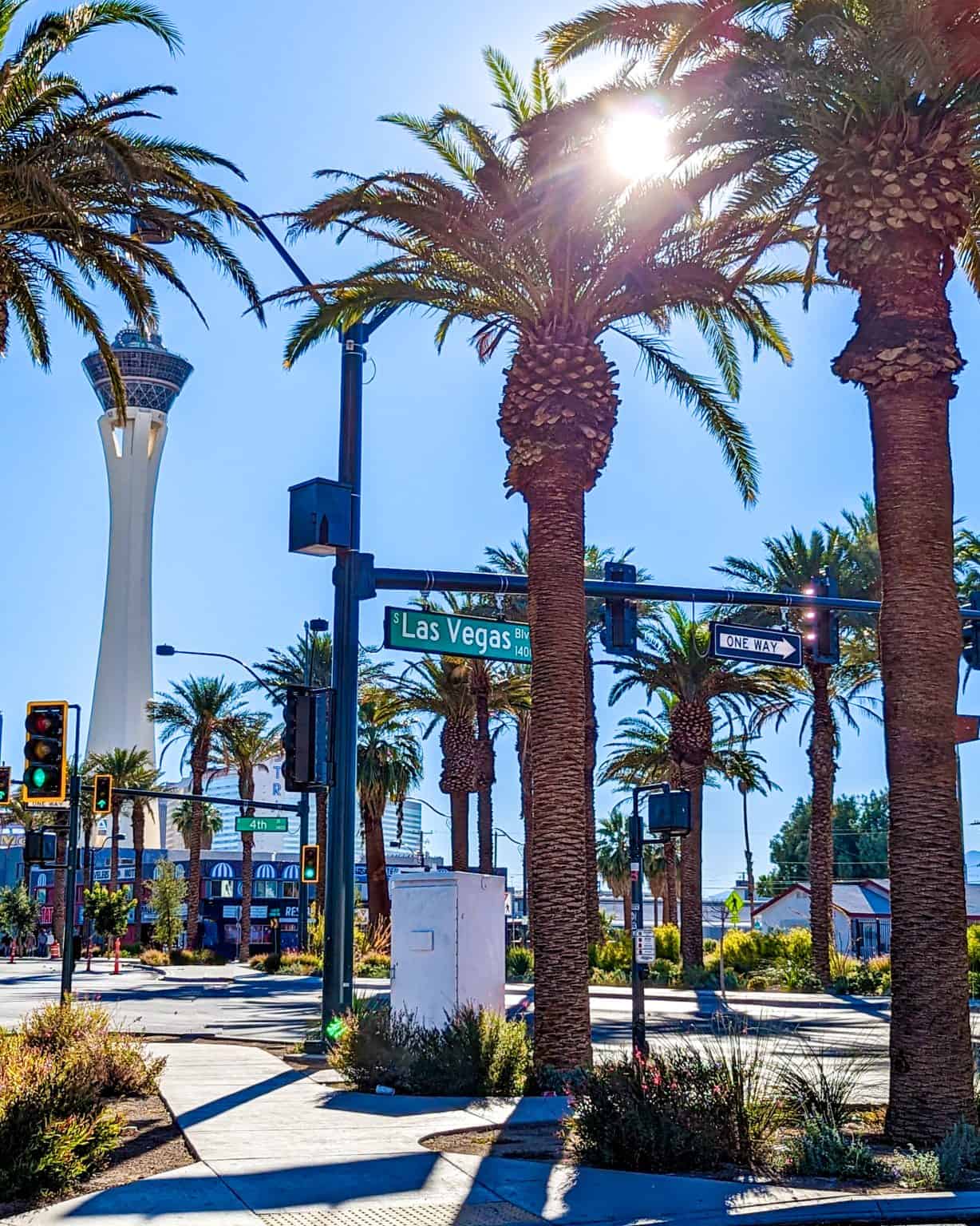 The Ultimate Las Vegas For First Timers Guide!